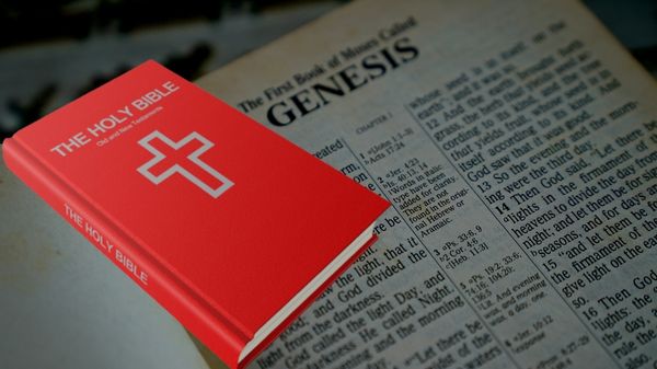 Open AI's AI Text Classifier Tool To Identify ChatGPT Content Believes ...