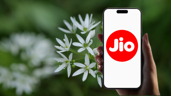 അ‌ന്നേ നോട്ടപ്പുള്ളി, ഈ ജിയോ പ്ലാൻ ആണത്രേ ഇപ്പോൾ ട്രെൻഡിങ് | Jio Rs 799 Prepaid Plan Listed As ...